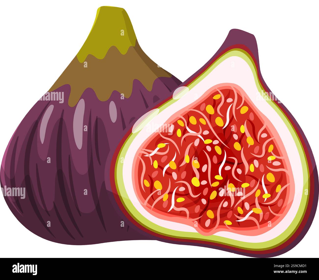 Ripe fresh fig half Stock Vector Images - Alamy