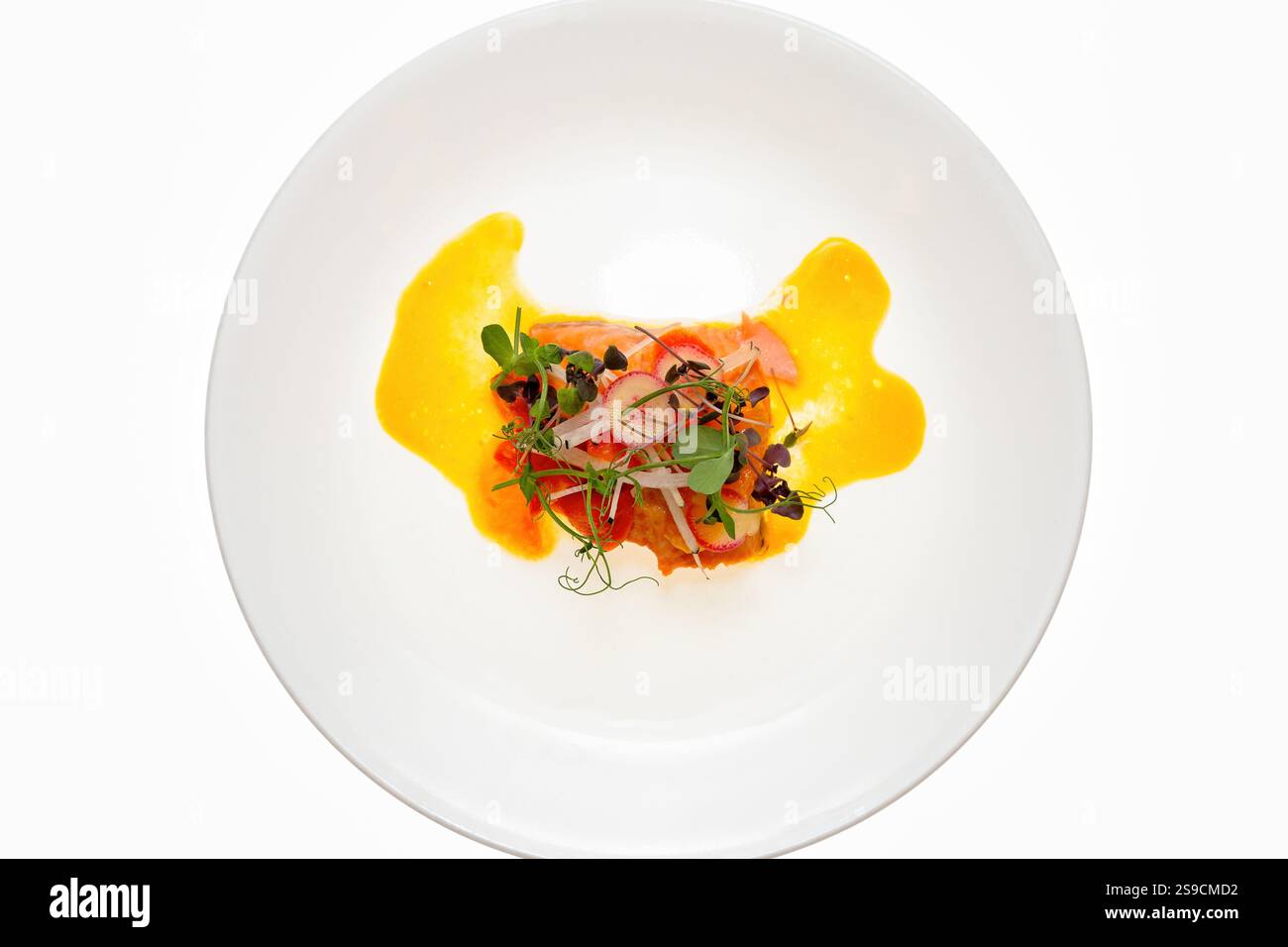 Exquisite Gourmet Plate Featuring Artfully Arranged Ingredients on ...