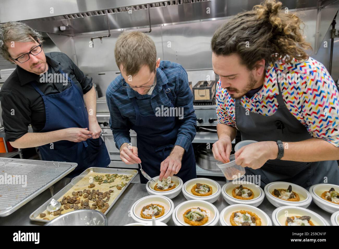 Professional Chefs Focus on Preparing Exquisite Dishes in Modern ...