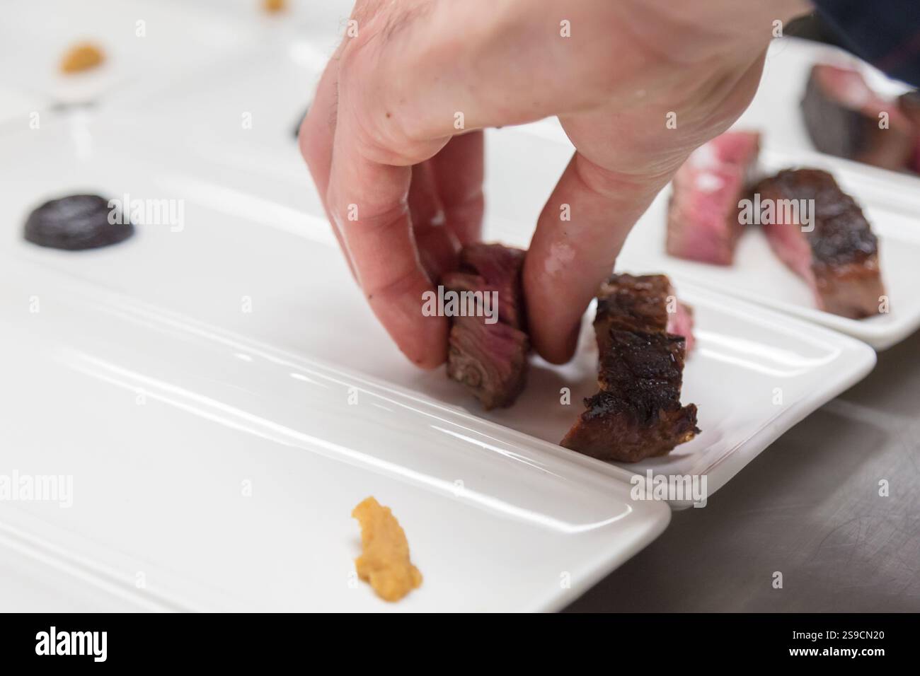 Chef Plating Gourmet Steak With Sauce on a Minimalist White Plate, Fog ...