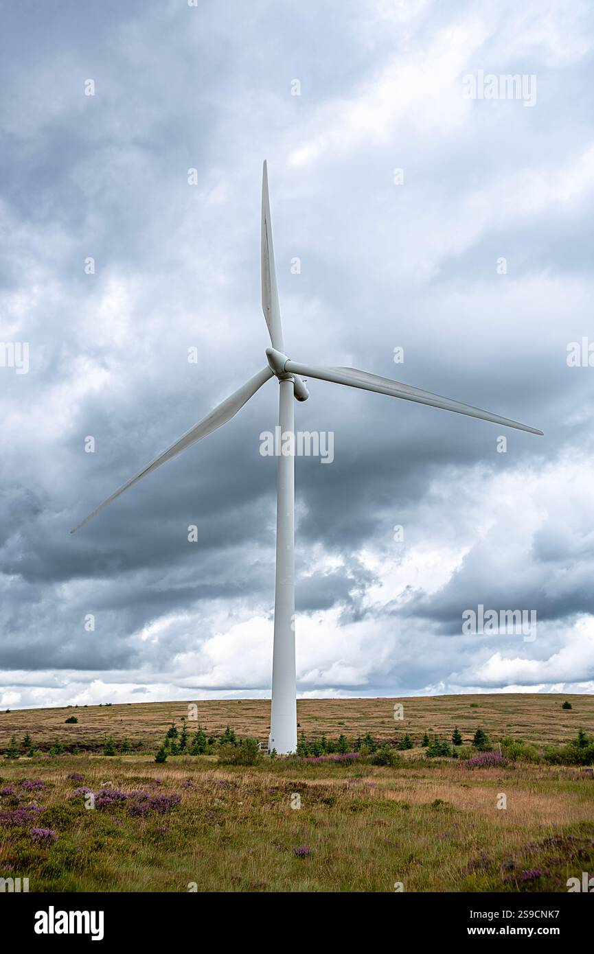 Landscape photography of wind turbines, windmills, wind power, power generation, electricity ...