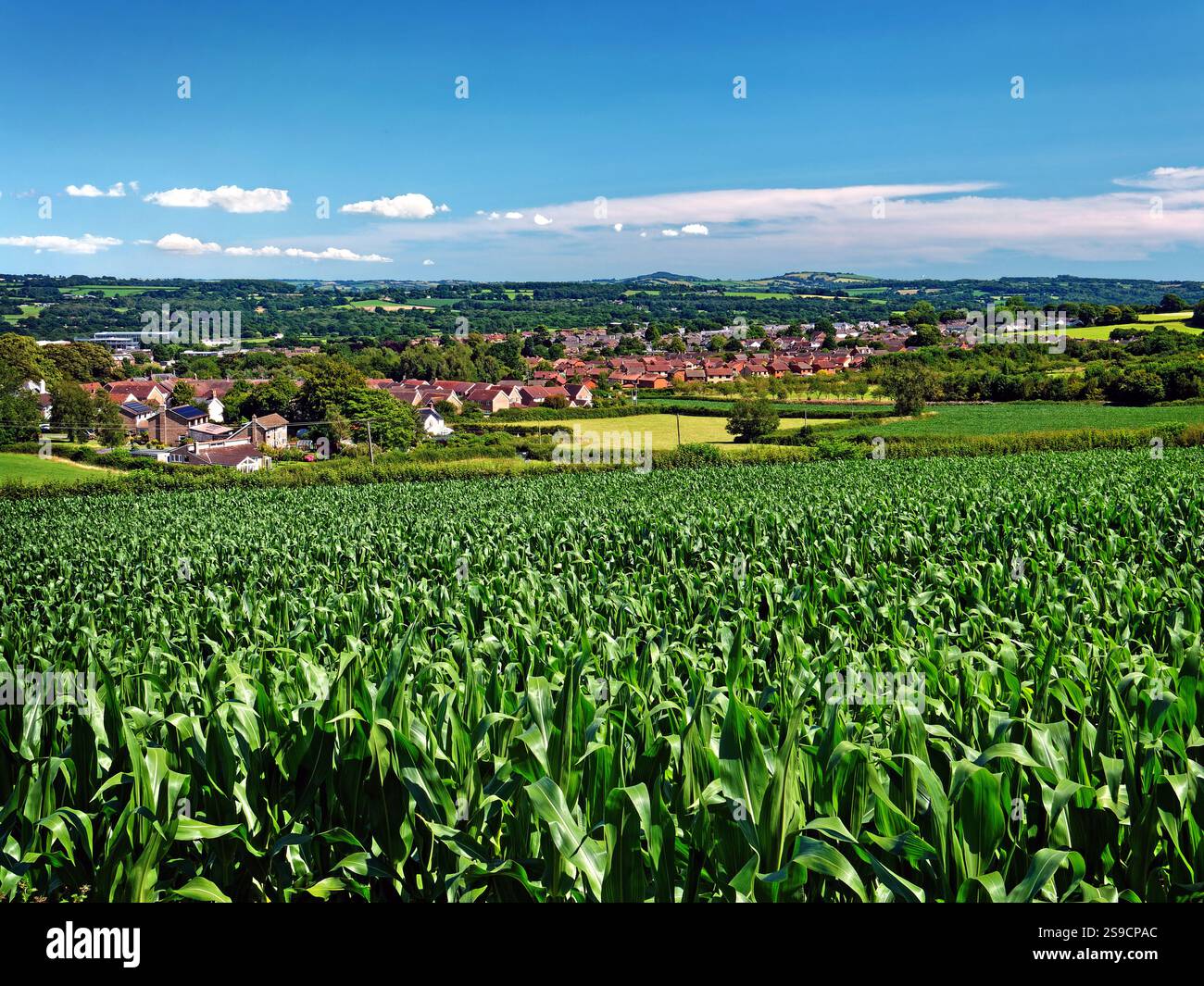UK, Somerset, Chard, View from Snowdon Hill across town and Dorset ...