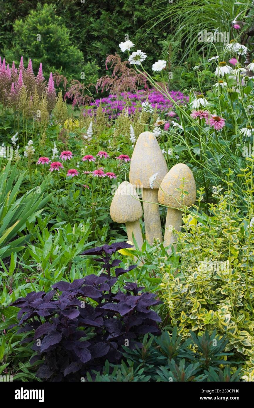 Purple Solenostemon - Coleus, Euphorbia - Spurge, Euonymus fortunei ...