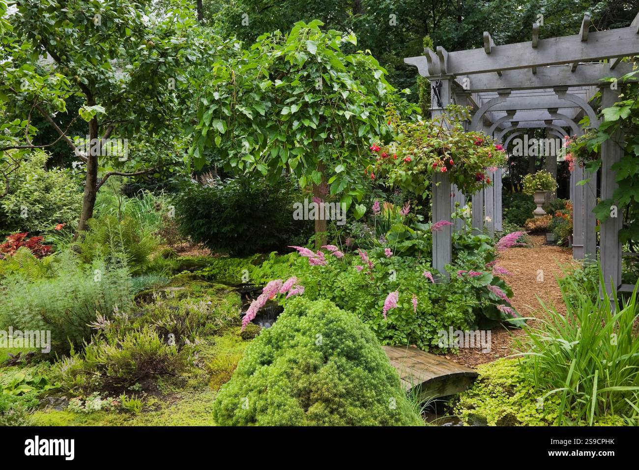 Footbridge and cedar mulch path through gray wooden pergola decorated ...