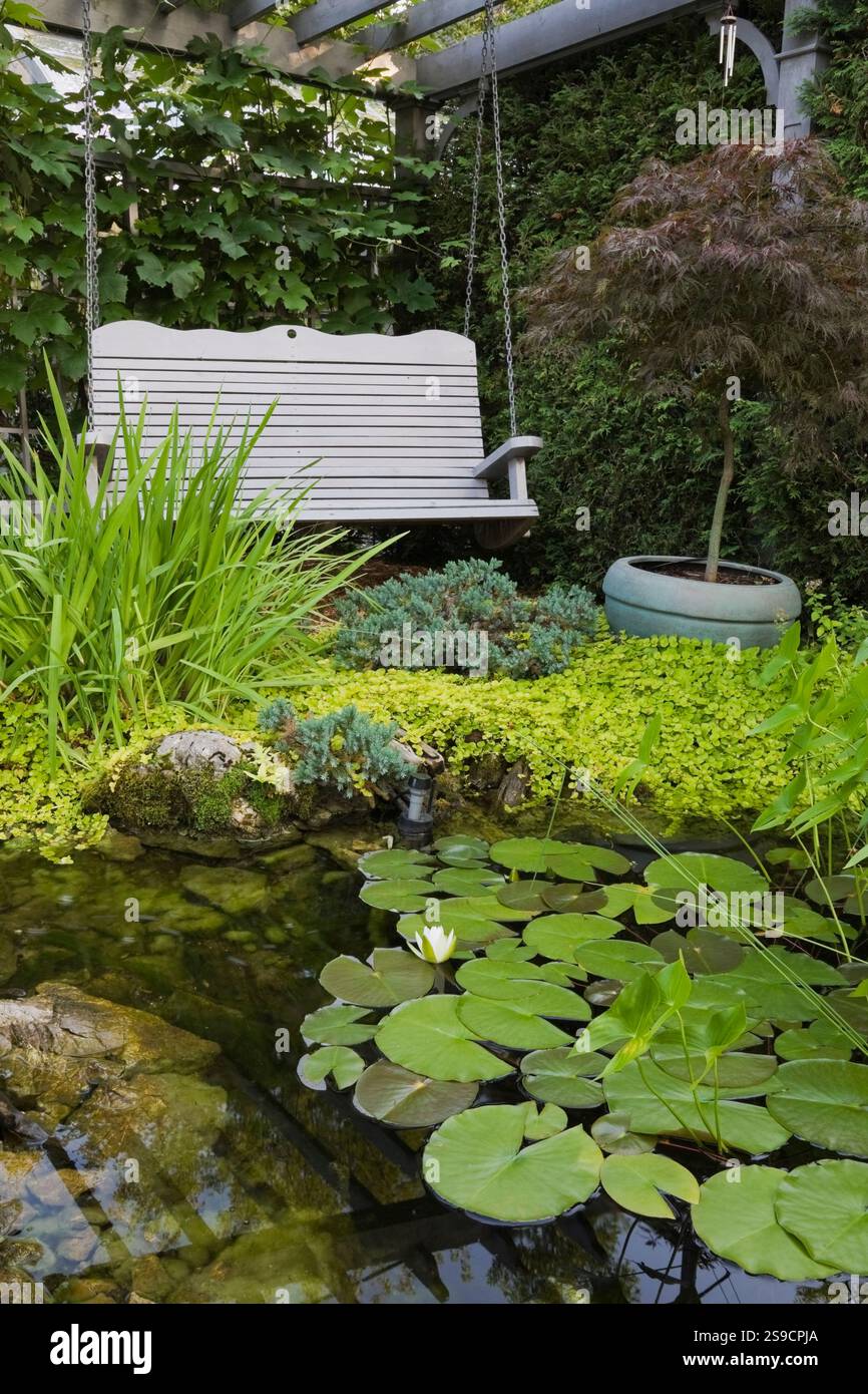 Gray wooden swing bench next to pond with Typha latifolia - Common ...