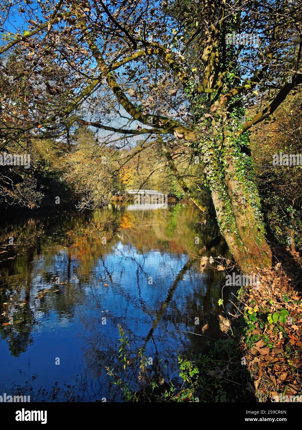 UK, Derbyshire, Peak District, Matlock Bath, View towards Footbridge ...