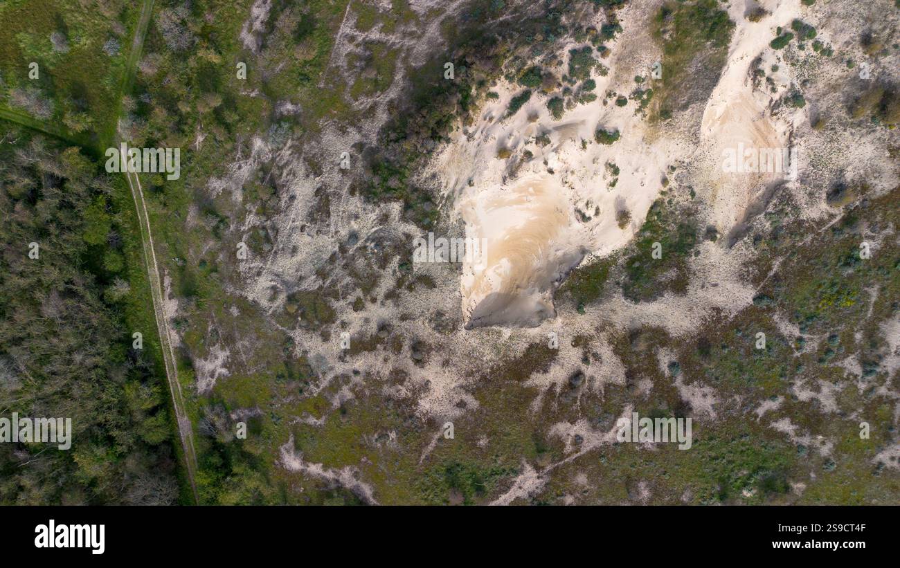 Aerial view of a sandy area surrounded by green vegetation and trees ...