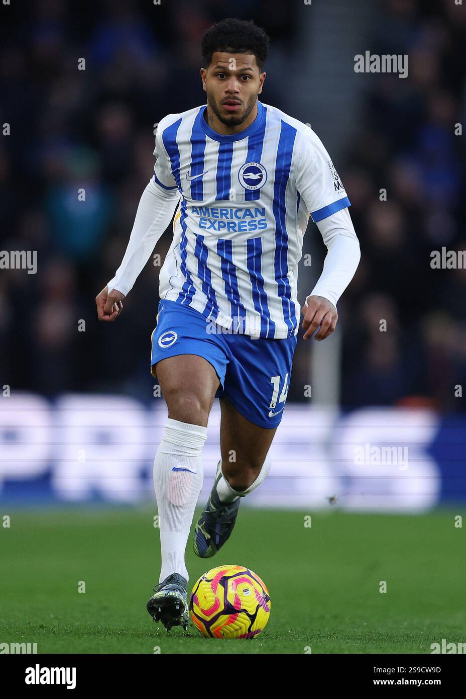 Brighton and Hove, England, 25th January 2025. Georginio Rutter of ...