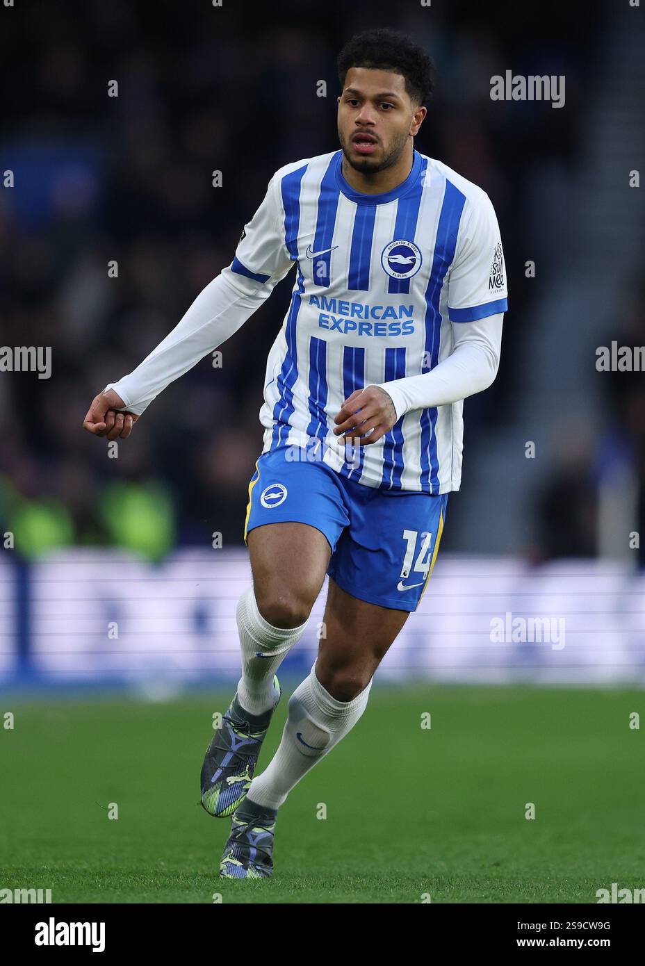 Brighton and Hove, England, 25th January 2025. Georginio Rutter of ...