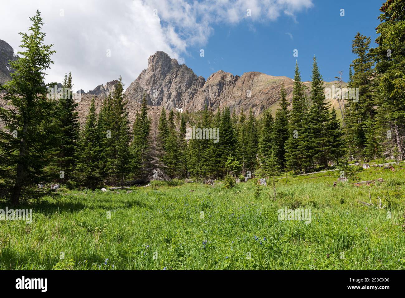 Dramatic 12,506 foot North Nokhu Crag viewed from grassy meadow in ...