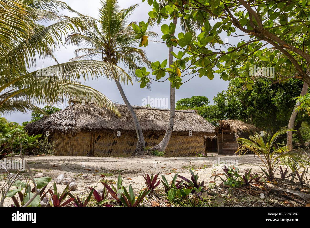 Traditional thatched roof building on Mystery Island, Vanuatu Stock ...