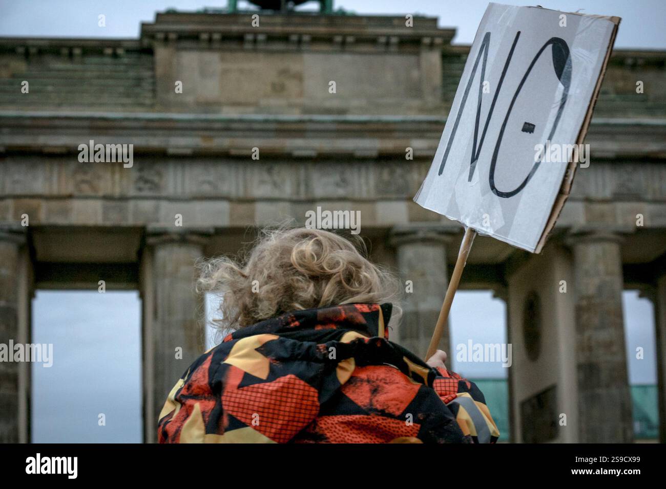 Berlin, Germany Anti-AfD protest: Child holds a "No" sign with a ...
