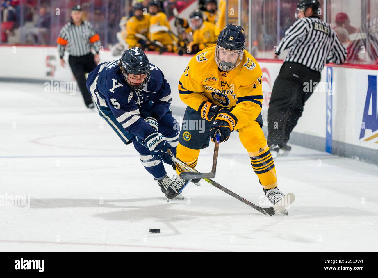 January 24, 2025: Yale Bulldogs Dylan Herzog, left, puts pressure on ...