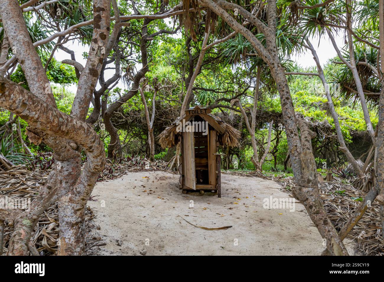 Rustic outdoor toilet with thatched roof in the lush, tropical ...