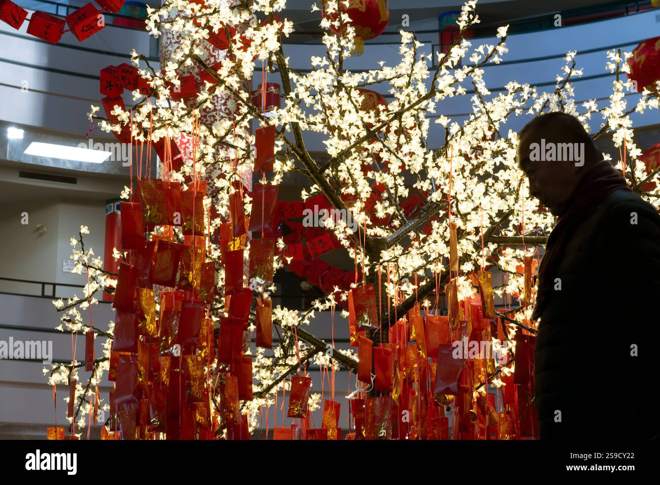 Good luck Wish and Lottery Tree during the Chinese Lunar New Year ...
