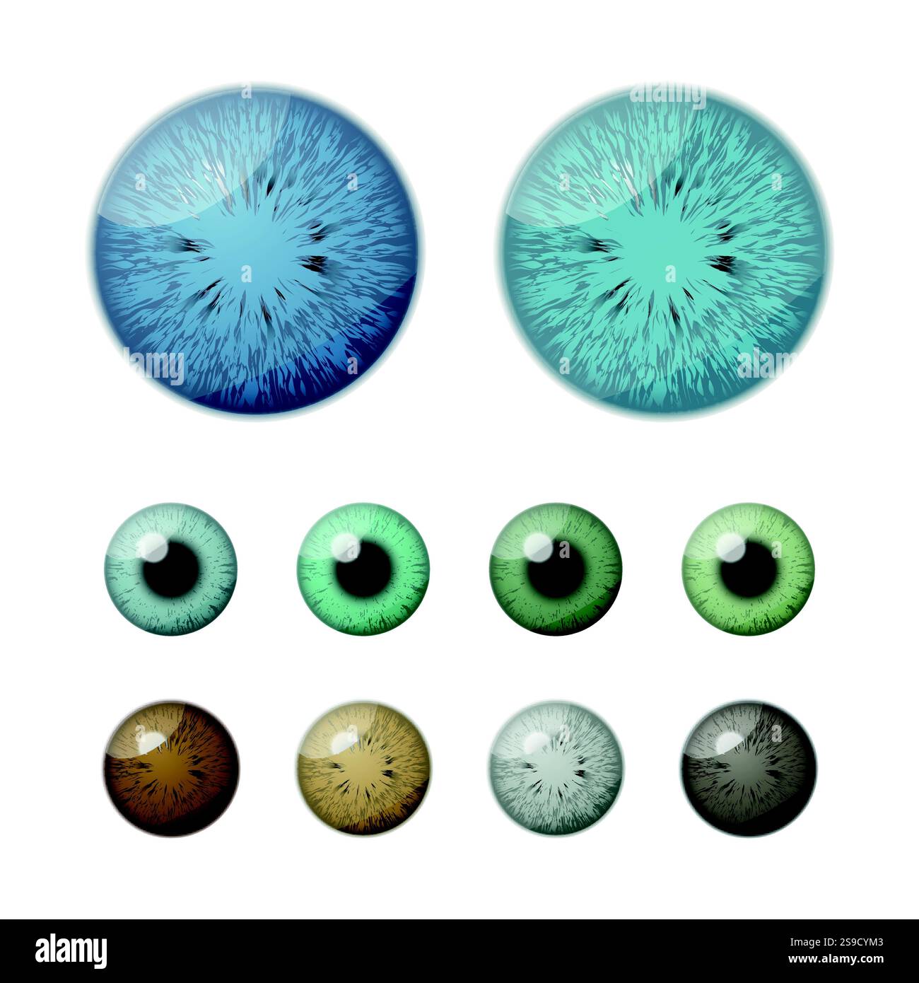Realistic Vector Isolated Round Eyeballs Set With Various Pupil Colors ...