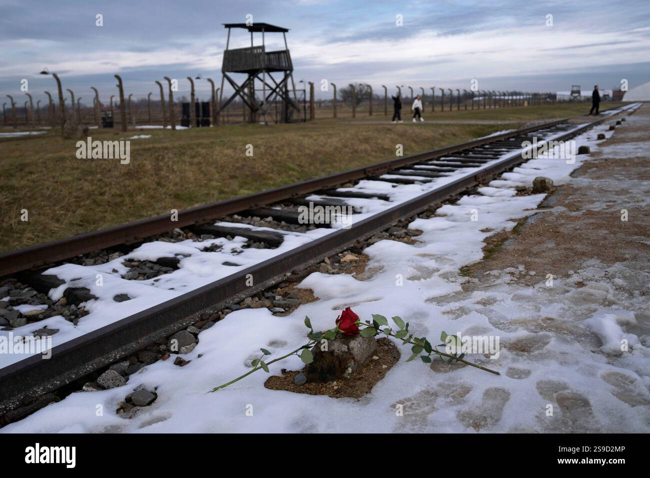 Flowers lie next to the old railroad tracks once used to transport Jews ...