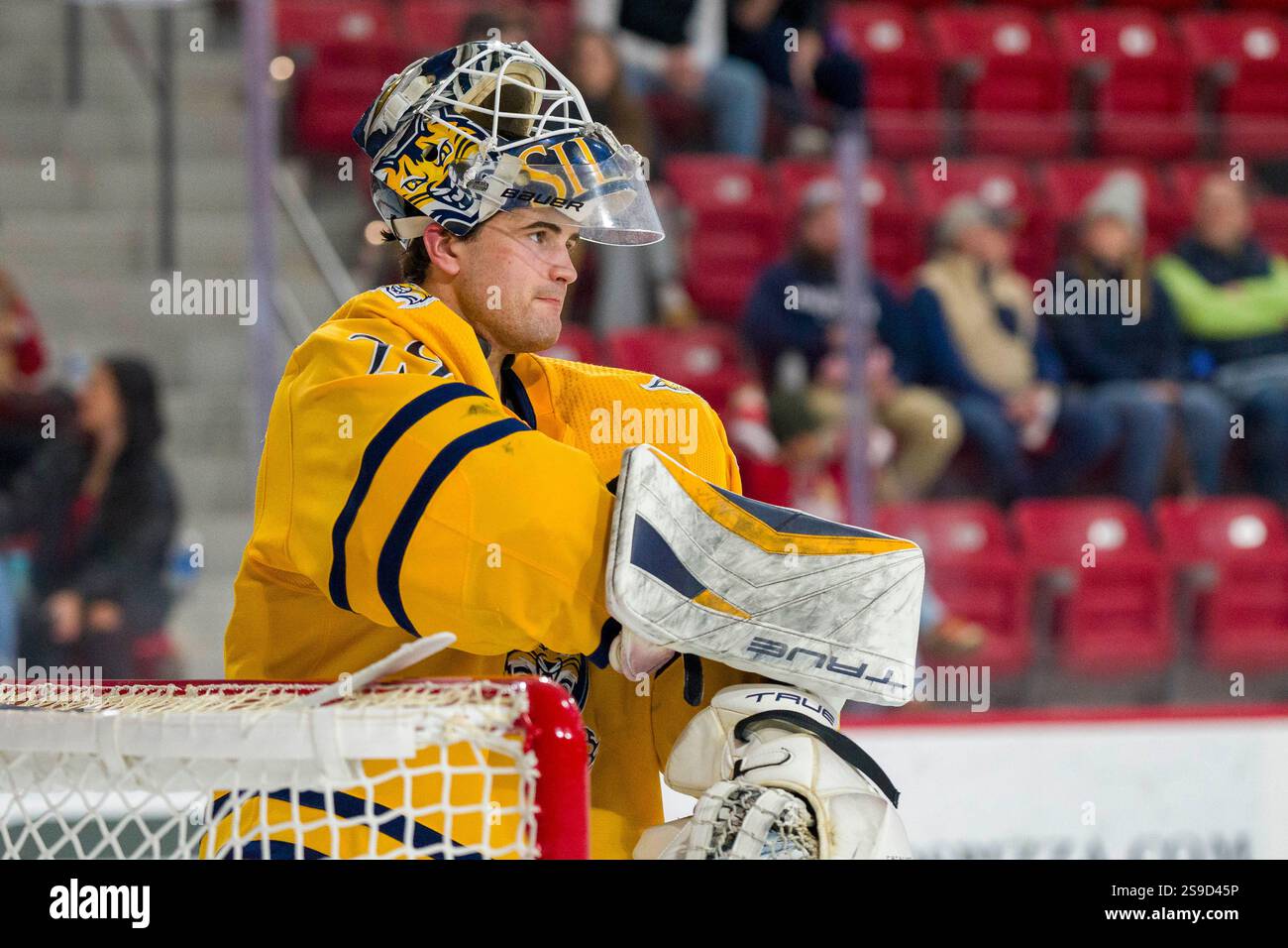January 25, 2025: Quinnipiac Bobcats goalie Dylan Silverstein (29 ...