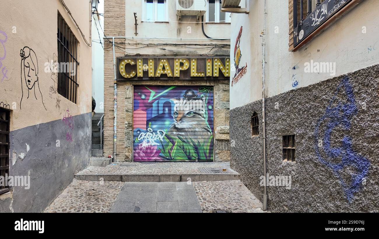 Colorful outdoor graffiti art on a closed metal gate in Granada Stock ...