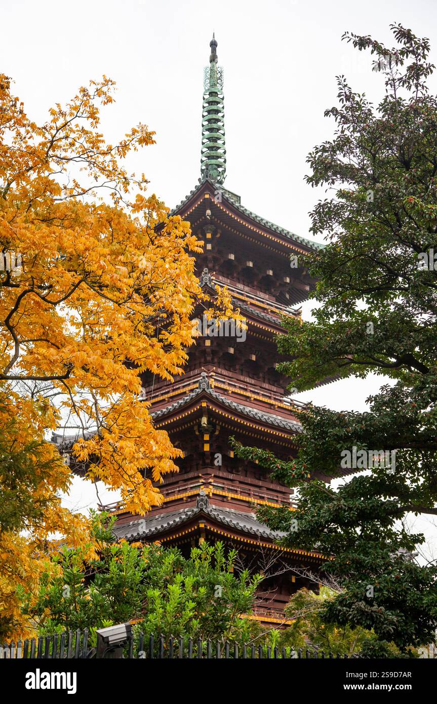 The Kanei-ji Gojunoto (Five Story Pagoda) or Kyu Kaneiji Five-Storied ...