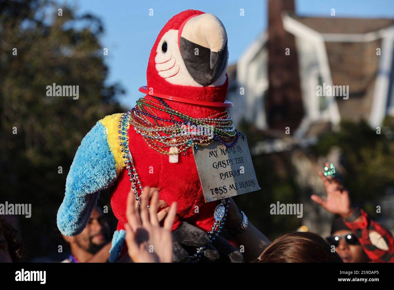 People hold up a stuffed parrot during the Gasparilla Parade of Pirates ...