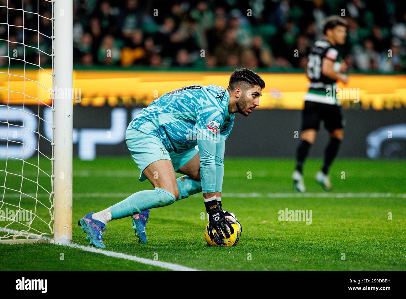 during the Liga Portugal Betclic match between Sporting CP and CD ...