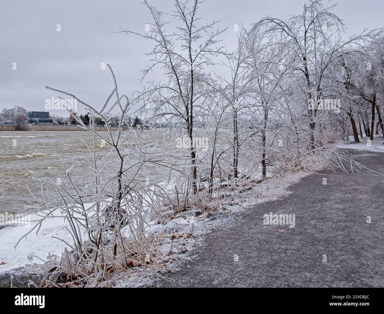 Frozen trees near a river after freezing rain Stock Photo - Alamy