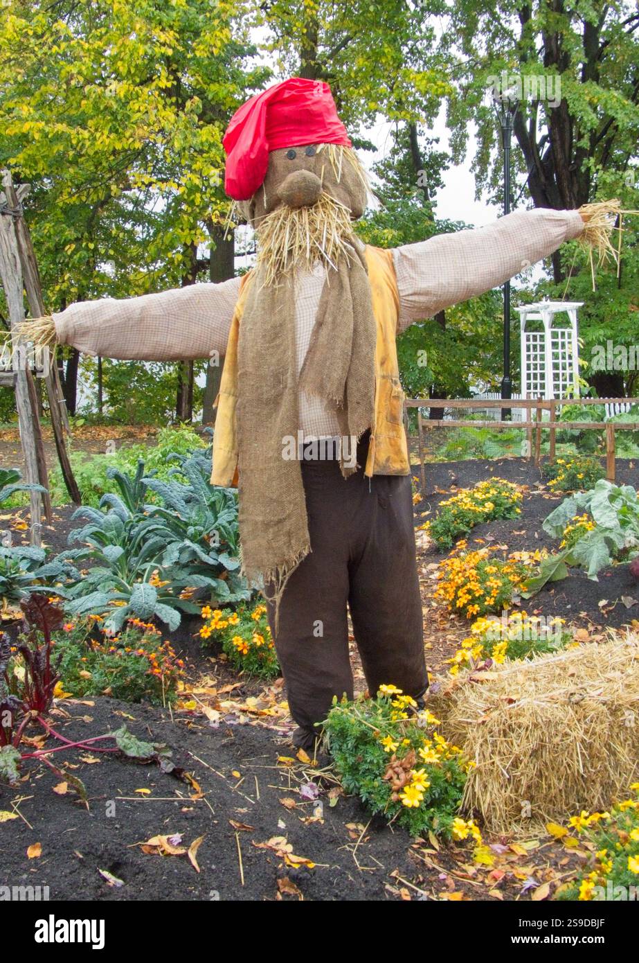 Stuffed Scarecrow in a public garden in summertime on a sunny day Stock ...
