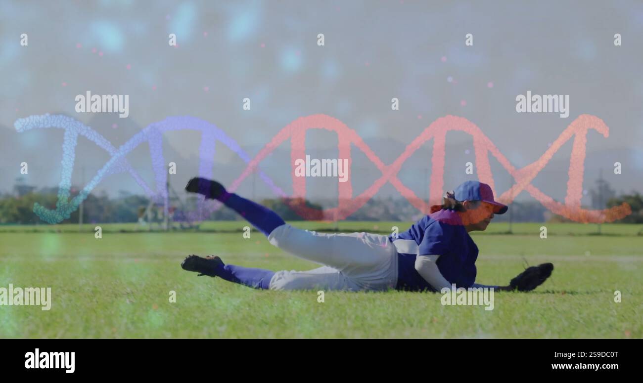 DNA strand image over baseball player diving on field. Science, biology ...