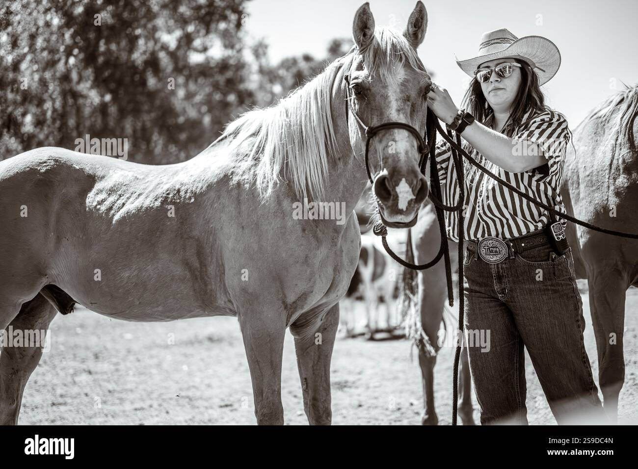 Cowgirl getting ready for the day at a Dude Ranch in Montana Stock ...