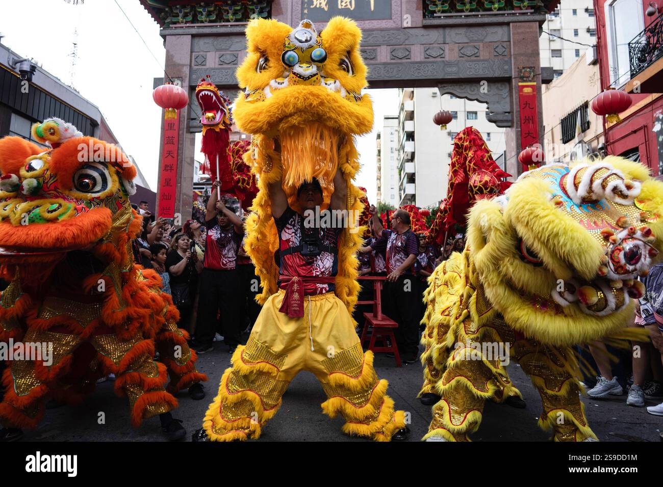 Dancers perform as lions during the Chinese New Year celebrations ...