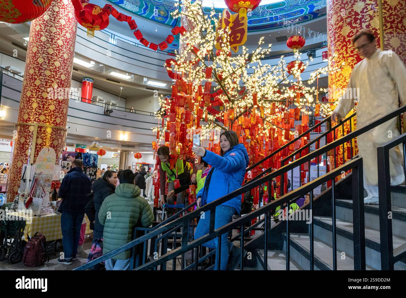 Good luck Wish and Lottery Tree during the Chinese Lunar New Year., at ...