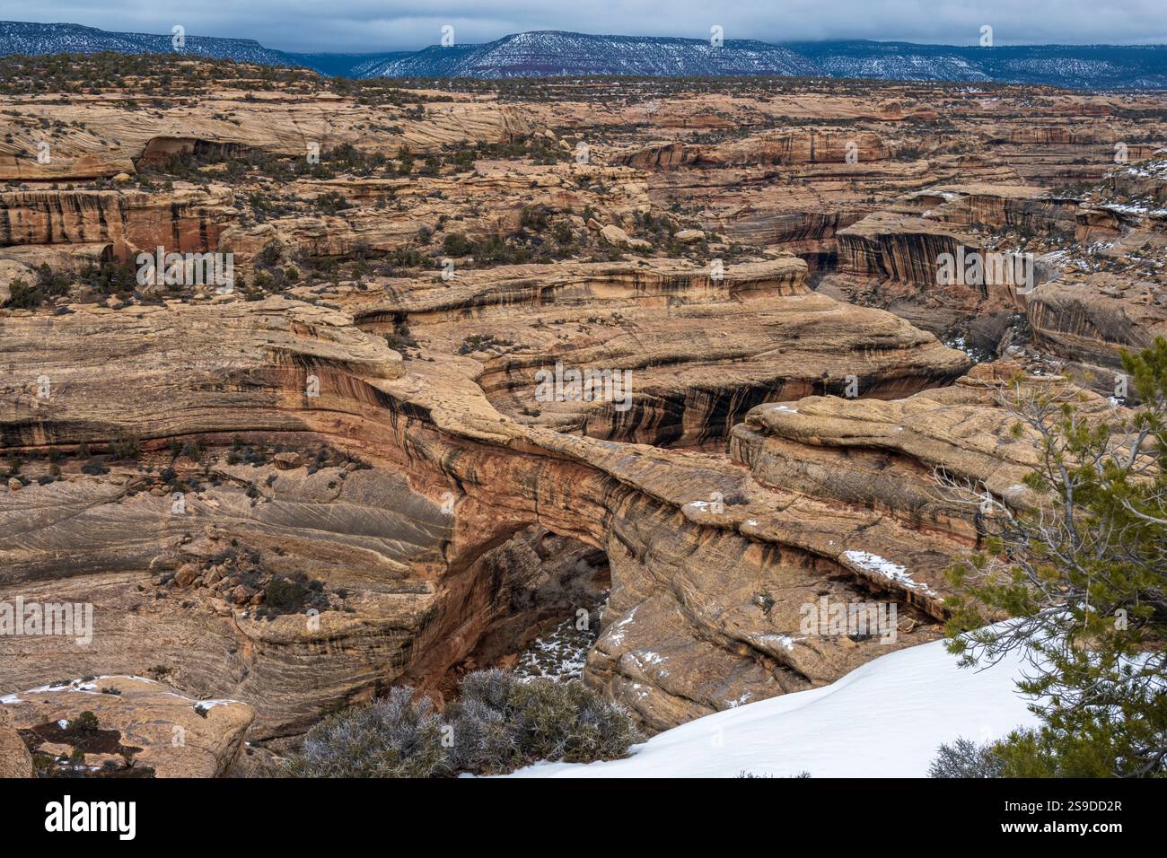 Natural Bridges National Monument, Utah Stock Photo - Alamy