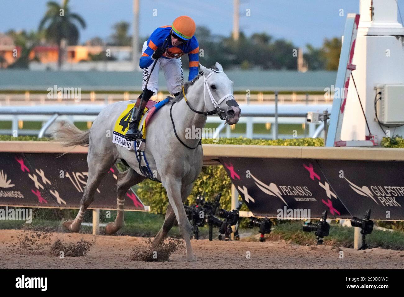 Jockey Irad Ortiz Jr. reacts aboard White Abarrio after crossing the ...