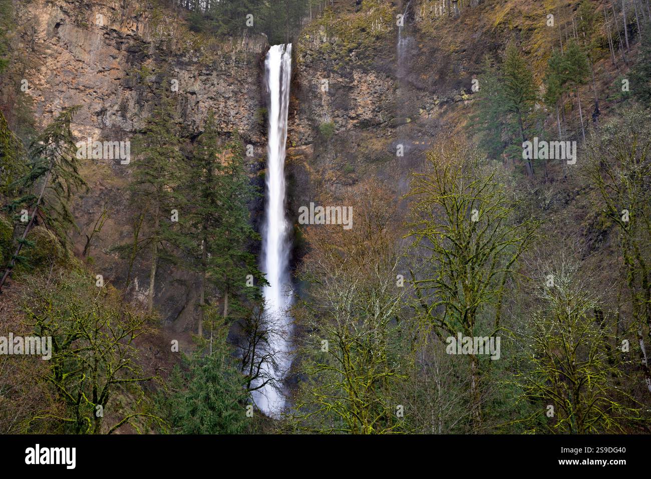 OR02697-00......OREGON - Upper Multnomah Falls along the historic ...