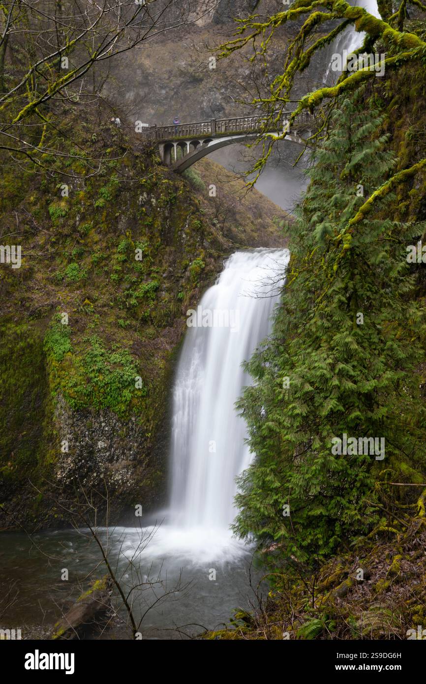 OR02699-00......OREGON - Lower Multnomah Falls along the historic ...