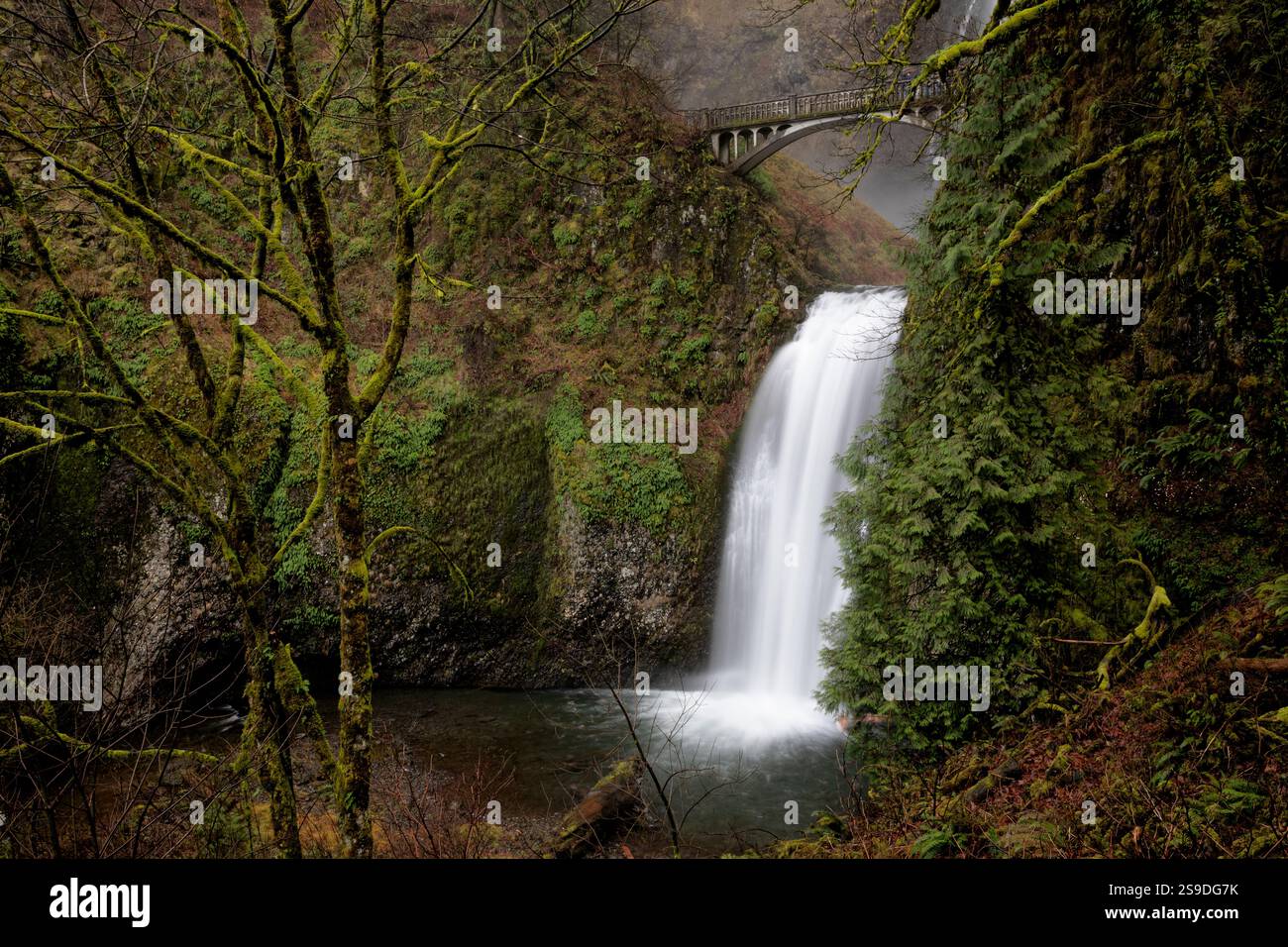 OR03000-00......OREGON - Lower Multnomah Falls along the historic ...