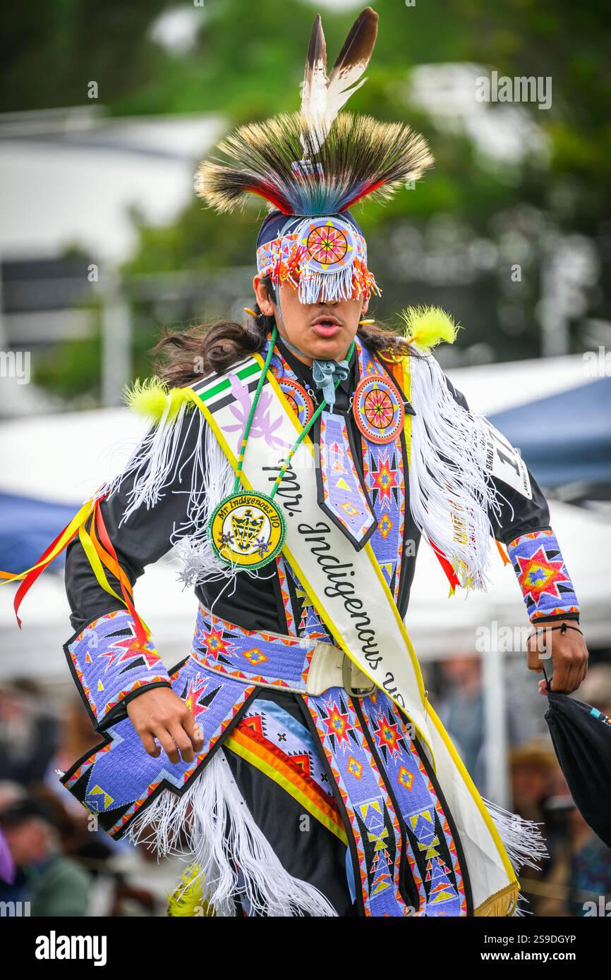 Male Indigenous Dancer at the Mission San Luis Rey Pow Wow Stock Photo - Alamy