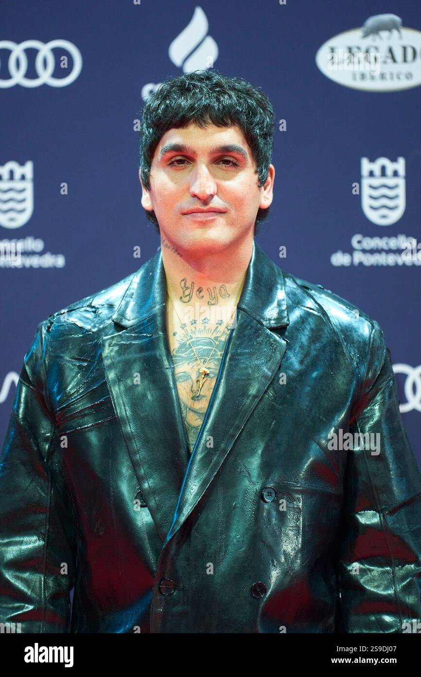 Pontevedra. Spain. 20250126, La Dani attends ‘Feroz Awards' 2025 Red ...