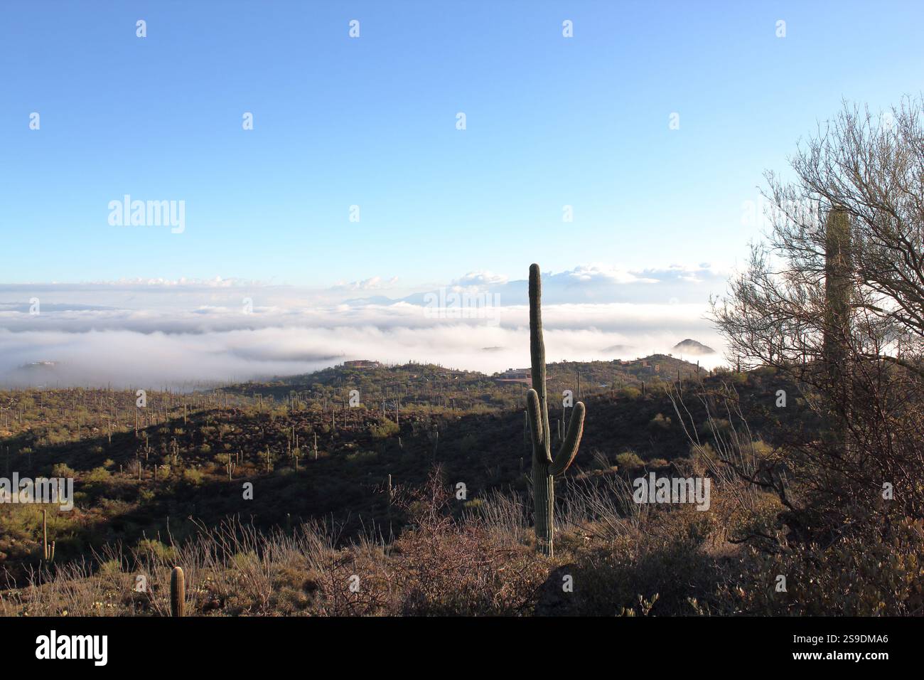 Serene misty morning view hi-res stock photography and images - Alamy