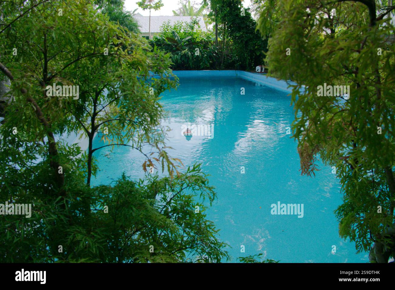 The Hemingway Home and Museum large outdoor swimming pool. The first ...