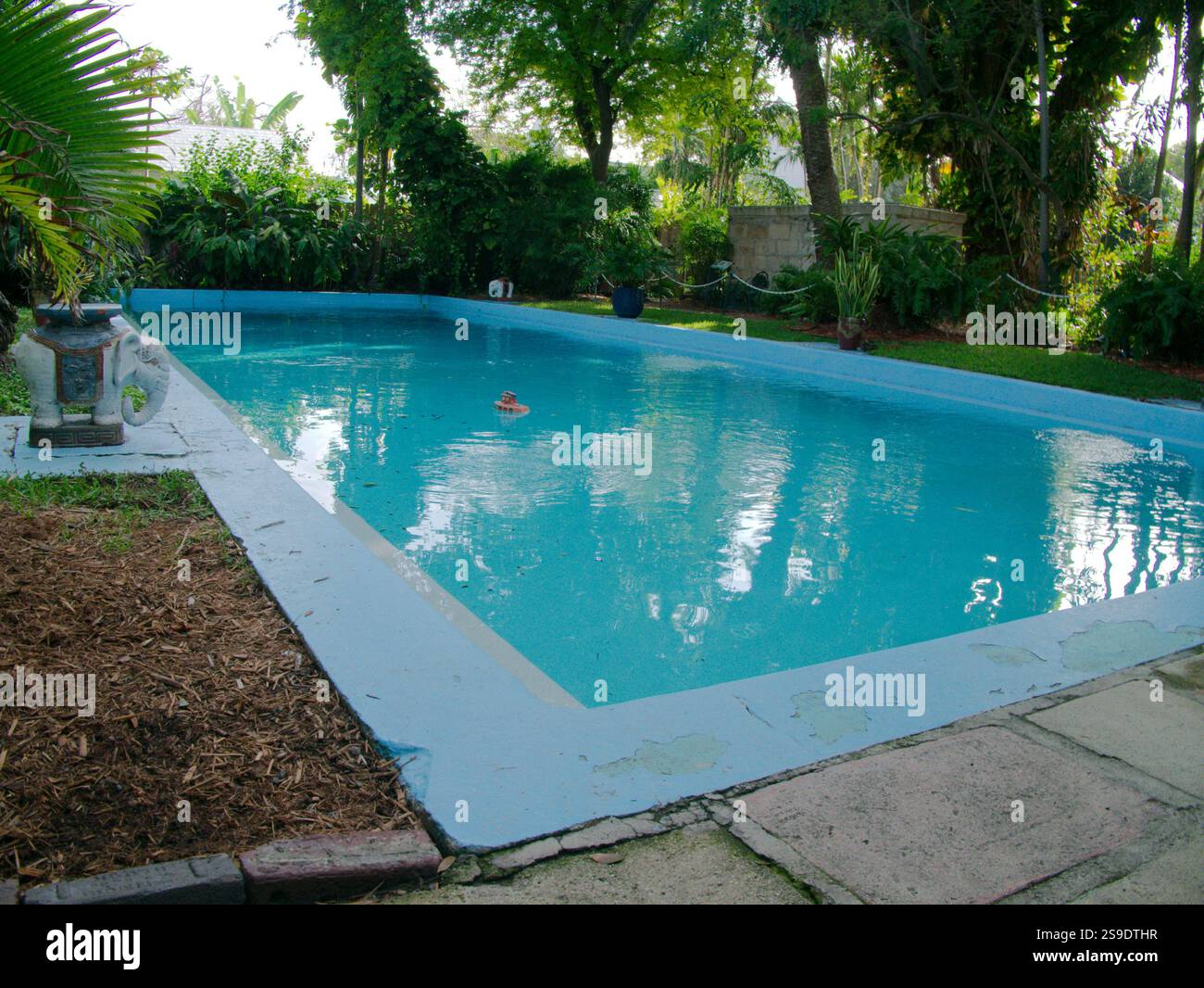 The Hemingway Home and Museum large outdoor swimming pool. The first ...