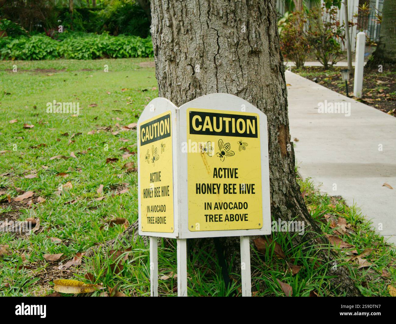 Black and yellow sign on a white curved with caution active bee hive in ...