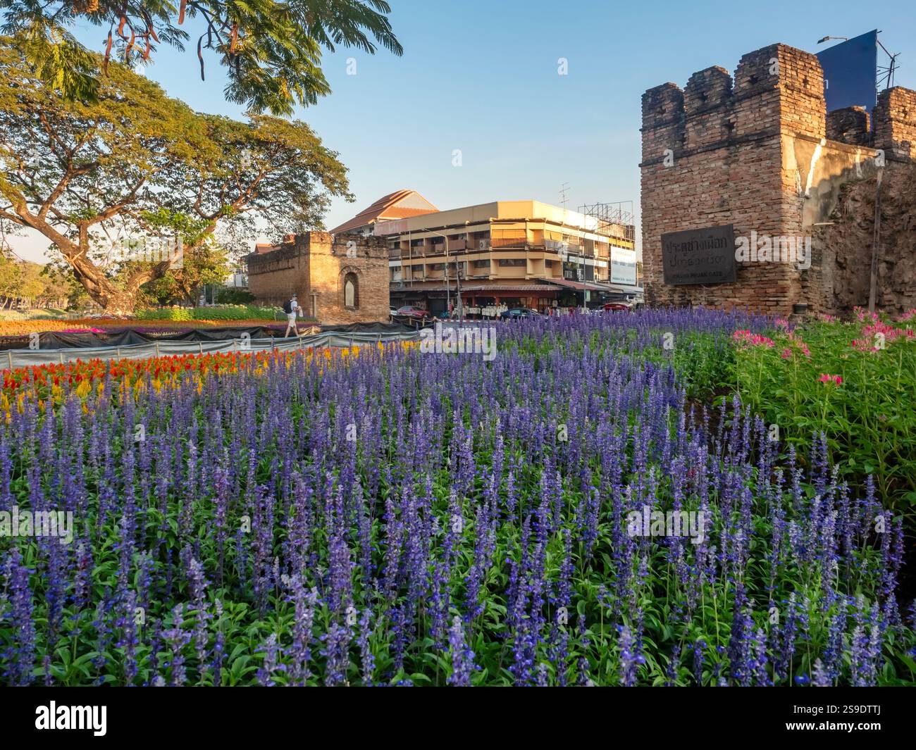 CHIANG-MAI, THAILAND - JANUARY 23, 2025 : SUAN DOK Gate is decorated ...