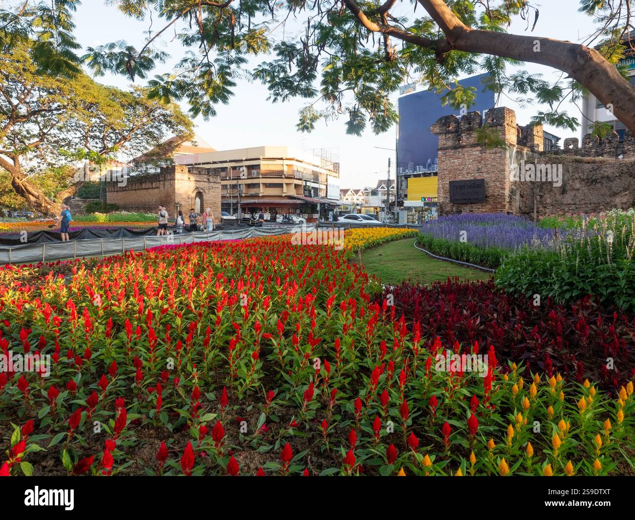 CHIANG-MAI, THAILAND - JANUARY 23, 2025 : SUAN DOK Gate is decorated ...
