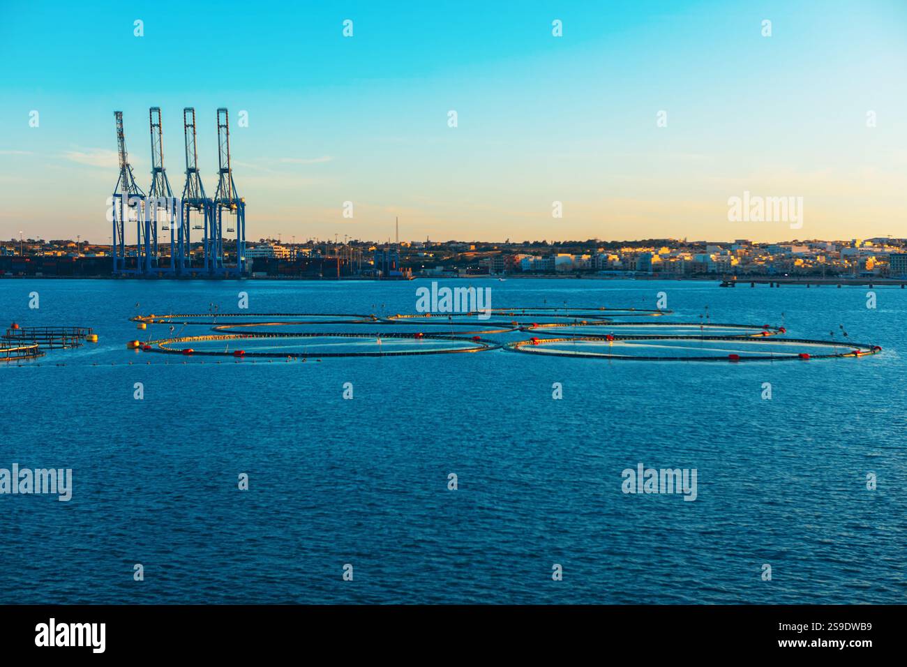 Coastal aquaculture farm with circular fish pens floating on calm water ...