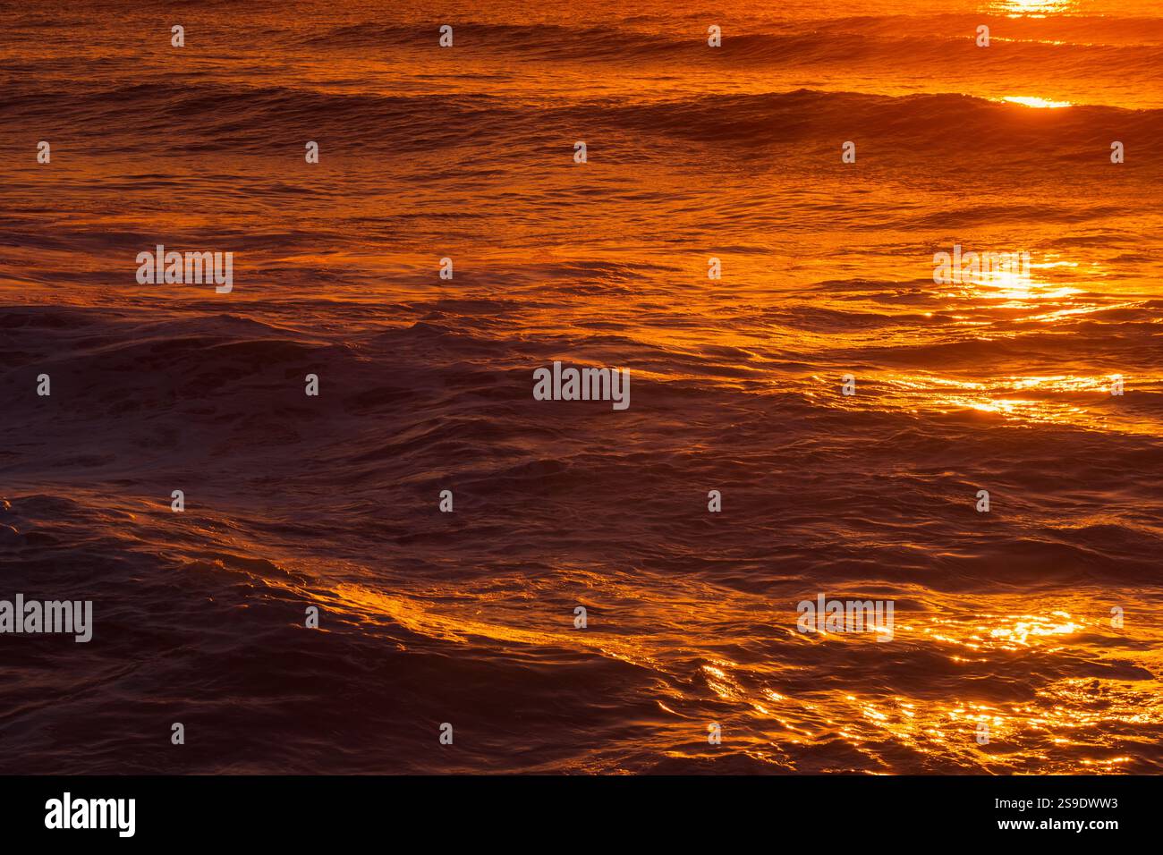 Texture of the water surface wave against a colorful Purple and Orange ...