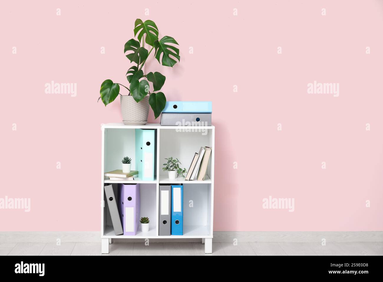 Shelf unit with document folders and plants near pink wall in office ...