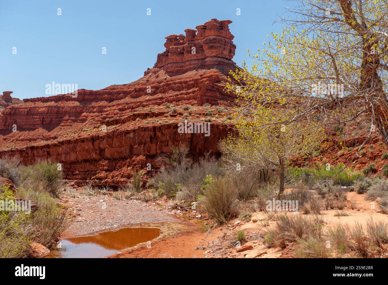 The Seven Sailors, a pillar of Cutler Formation sandstone, is reflected ...