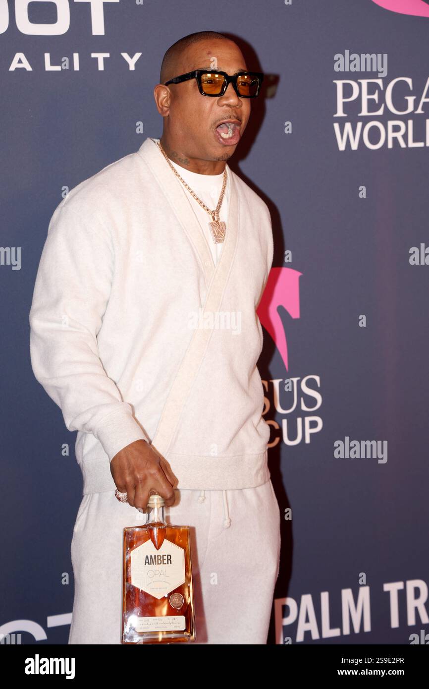 HALLANDALE, FLORIDA - JANUARY 25: Ja Rule attends Pegasus World Cup ...